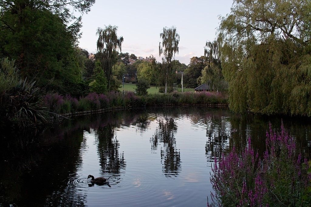 Sigma DP2 specs and prices. Sigma DP2 comparison with rivals.